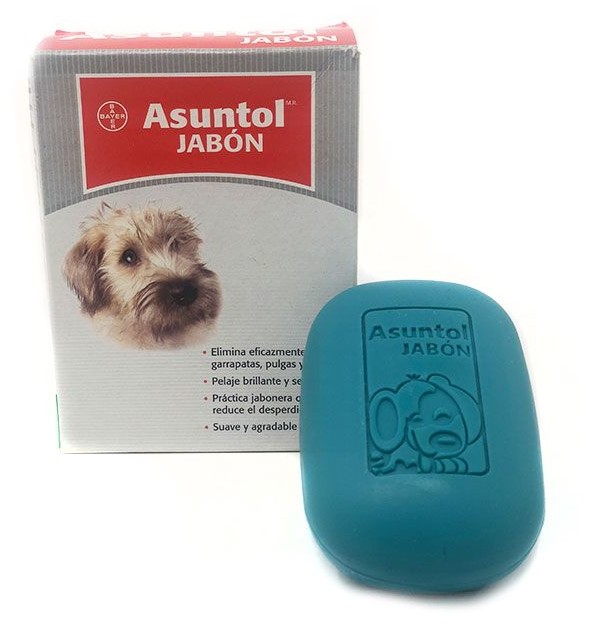 Asuntol Uso Veterinario Para qué Sirve* Guía* Precios 2026